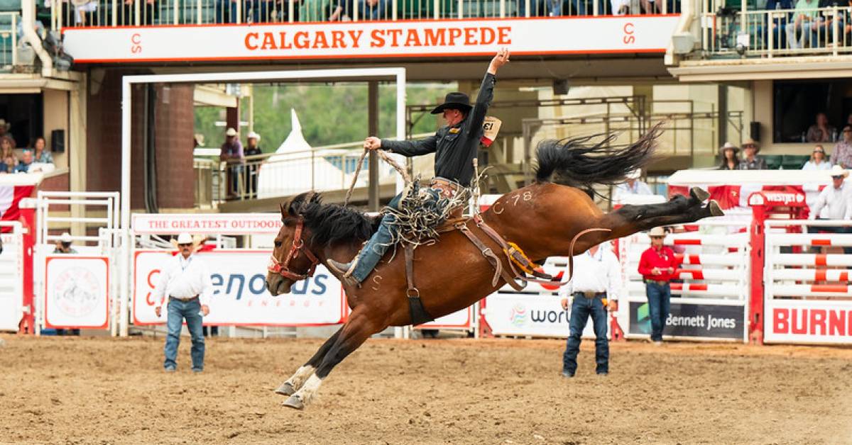 Countdown to the Calgary Stampede: Less Than One Month Until Canada’s ...