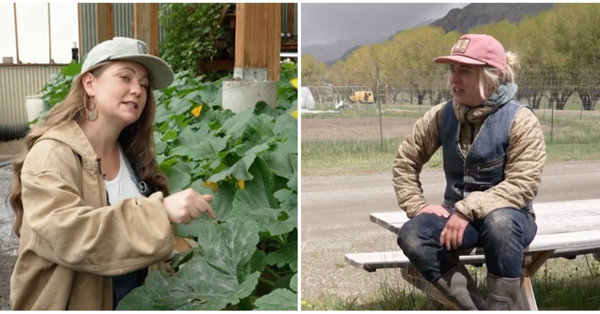 Duo Used TikTok To Find Farm Help And Build A Dream — How Canadians Can Invest In Startups They ...