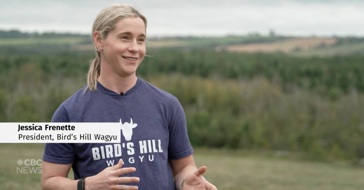 Small Farm, Big Demand: New Brunswick Wagyu Can’t Cross Borders