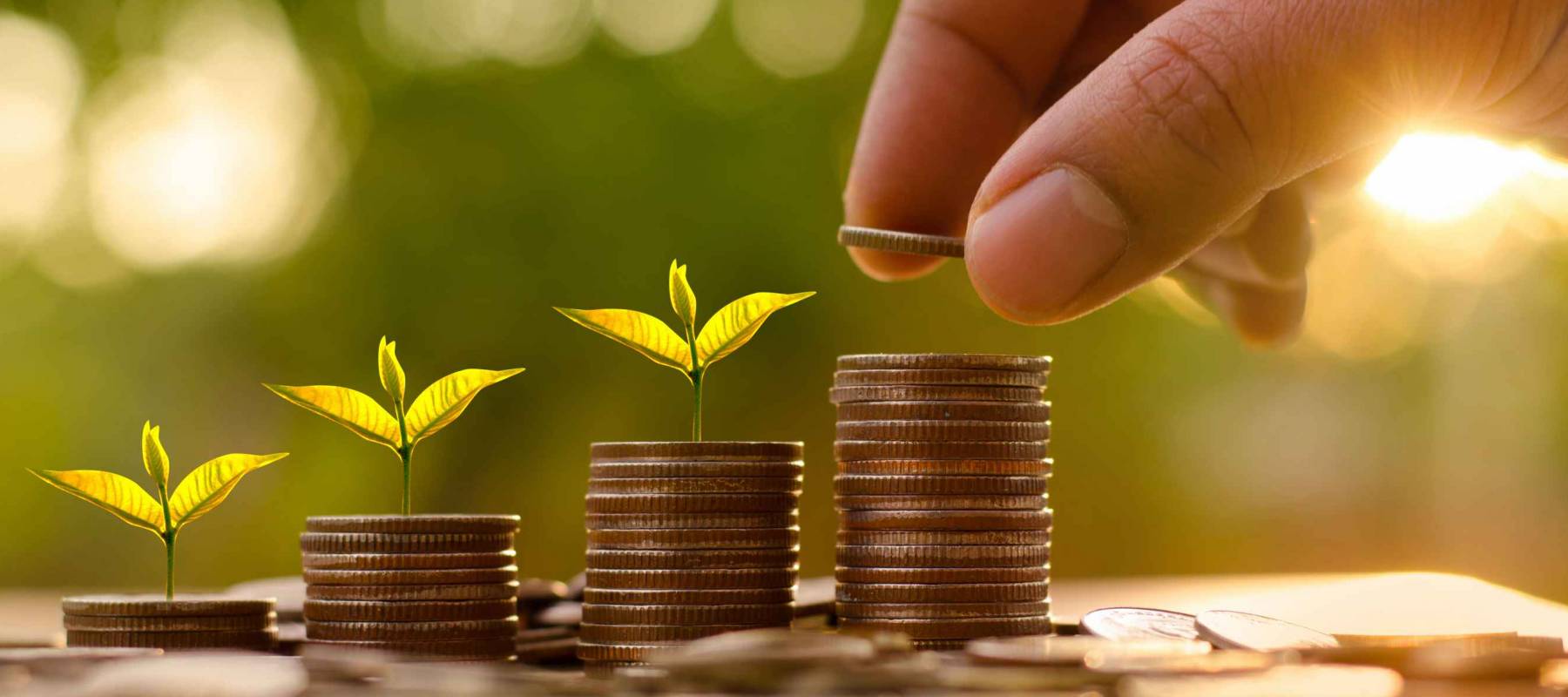 What is a Commodity | How They Work and How to Invest