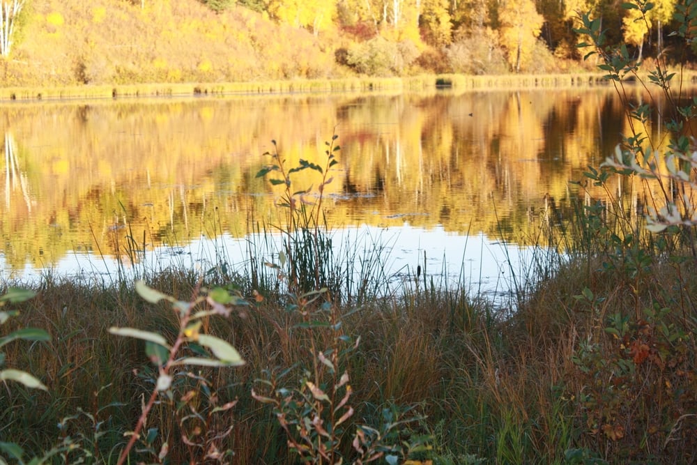 The Top 12 Cheapest Places To Live In Alberta