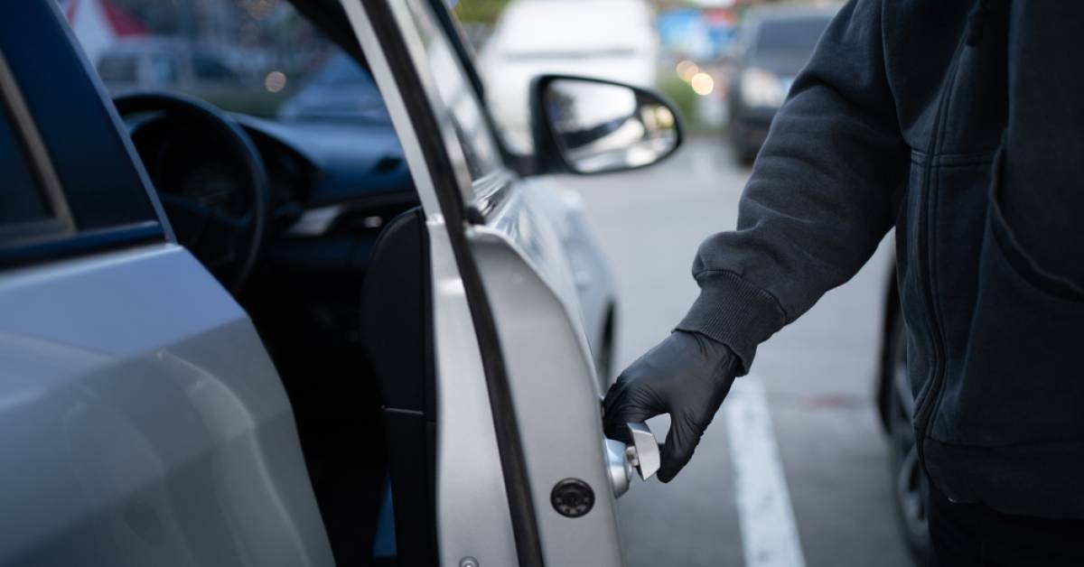Collective efforts led to auto theft reduction