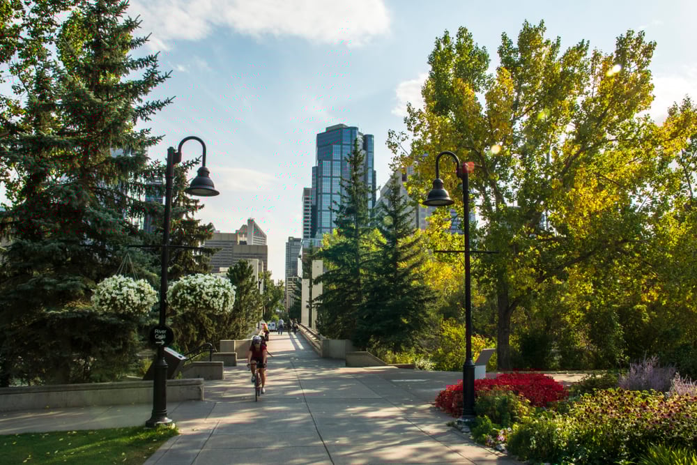 12 Best Neighbourhoods in Calgary
