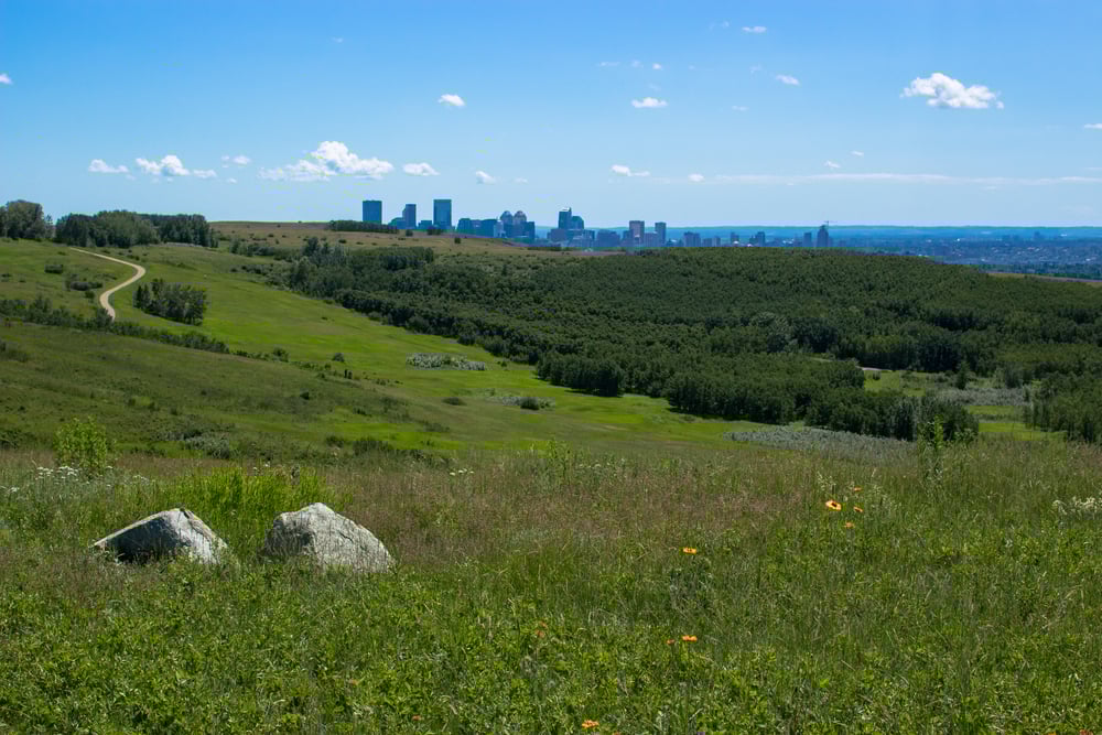 12 Best Neighbourhoods in Calgary