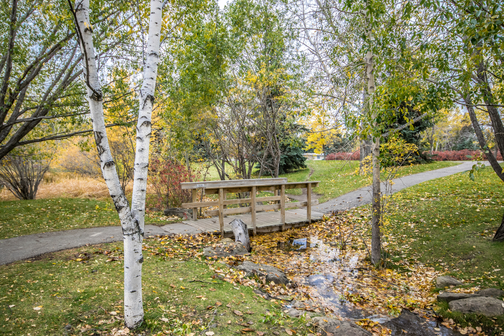 12 Best Neighbourhoods in Calgary