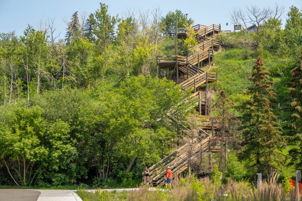 12 Best Neighbourhoods in Calgary