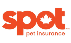 How To Put Dave Ramsey’s ‘7 Baby Steps’ Into Action — and Retire With ...